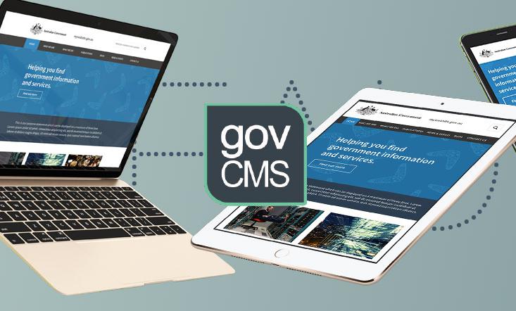 Lowering the barrier to GovCMS — a visual whitepaper | Salsa Digital